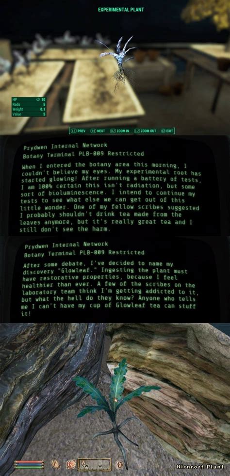 Interesting Easter Egg In Fallout 4 And Elder Scrolls Oblivion Imgur