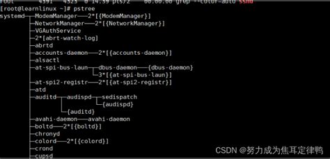 Linux：1进程介绍2linux父子进程3终止进程kill和killall4查看进程树pstreervice服务管理