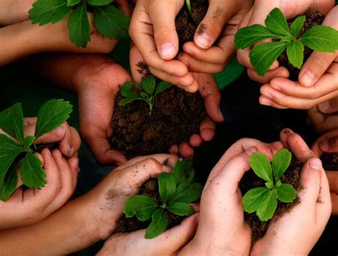 Semana Nacional Do Meio Ambiente Portal Cepmg