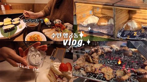 수원 행궁동 브이로그 제비곳간 행궁별식 계란김밥 정지영커피로스터스 수원시립미술관 수원화로구이 돼지갈비 👯‍♀️😋 Youtube