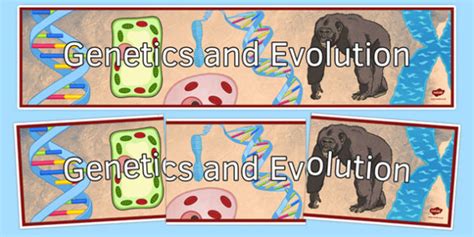 Genetics And Evolution Display Banner Teacher Made