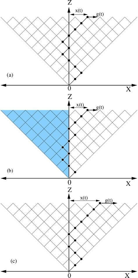 Schematic Diagram Of A Directed Polymer Adsorbed On A Surface Along