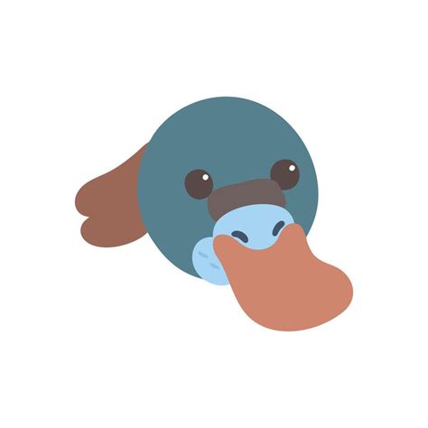 Playful Platypus Swimming In Water 57077989 Vector Art At Vecteezy
