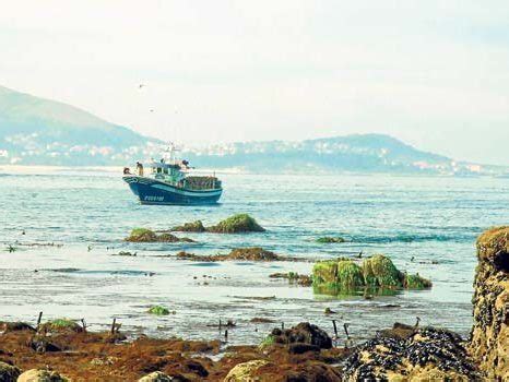 Pesca sostenible es posible Océano de Canarias