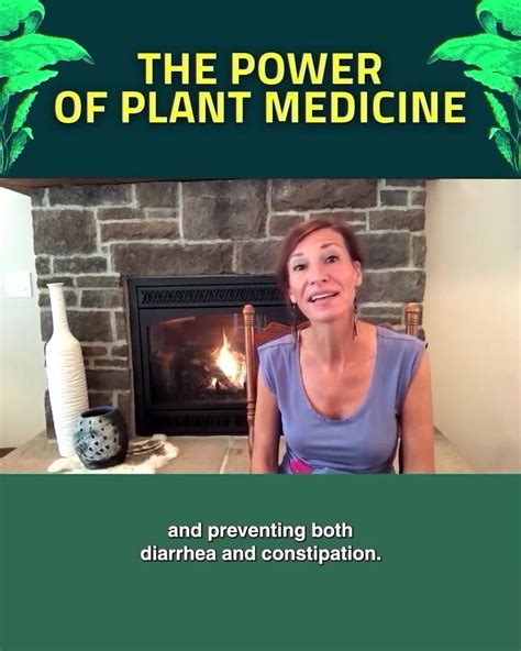 28 Years Of Natural Plant Based Healing In One Book Plant Garden