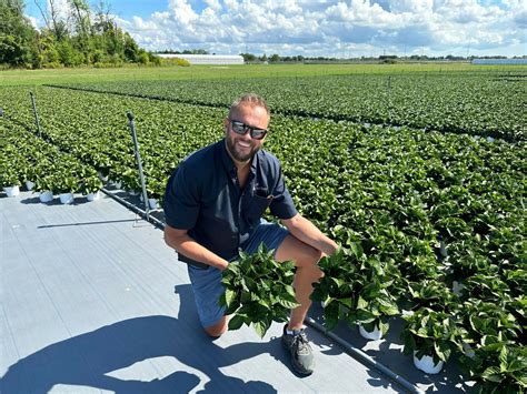Spring Valley Gardens Jeremy Van Koeveringe Ornamentali Piante St Catherines Ontario