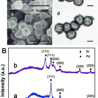 A SEM And TEM Images Of SiO 2 C Ni A And B And SiO 2 C PdNi C Download Scientific
