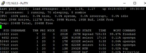 what is this thing taking up all cpu r pfsense