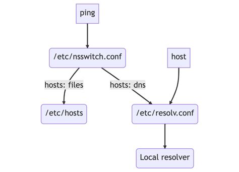 Linux Dns Lichi Blog