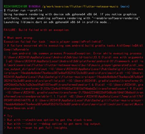 跑不起来大佬求助 Issue boyan flutter netease music GitHub