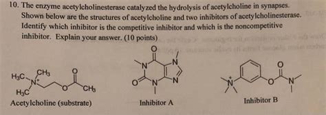Solved 10 The Enzyme Acetylcholinesterase Catalyzed The