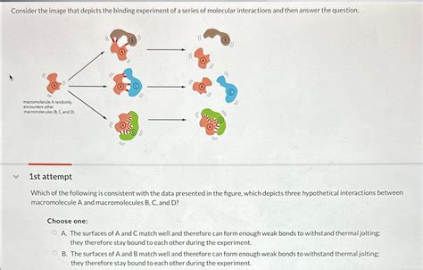 solved consider the image that depicts the binding