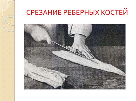Обработка чешуйчатой рыбы и приготовление полуфабрикатов из неё