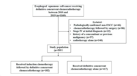 The Flowchart Of The Screening Process Download Scientific Diagram
