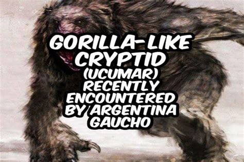 Gorilla Like Cryptid Ucumar Recently Encountered By Argentina Gaucho