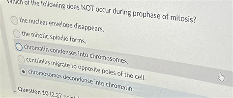 Solved Which Of The Following Does NOT Occur During Prophase Chegg
