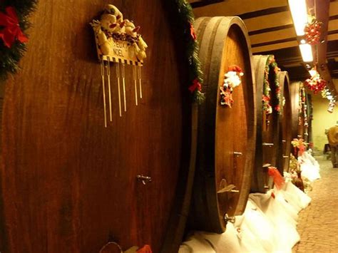 투어 알자스 와인가도에서 즐기는 힐링 투어 줌줌투어 프랑스 스트라스부르