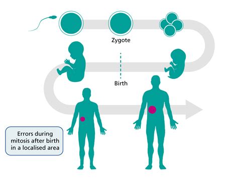 Mosaicism — Knowledge Hub