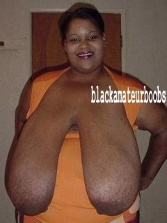 Gloria Sutter Boobpedia Encyclopedia Of Big Boobs