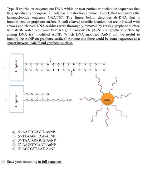 Solved Type Ii Restriction Enzymes Cut Dna Within Or Near