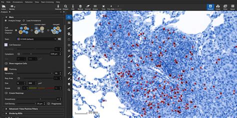 mikaia spatial clustering app smart sensing insights