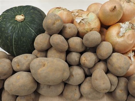 Sodane 貴重なジャガイモ『インカのめざめ』が入った北海道産 秋のお野菜セットはいかが？（買って応援 北海道）