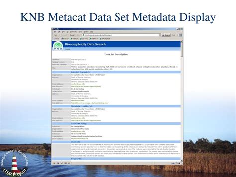 Lter Metadata Query Interface Current Status And Future Challenges