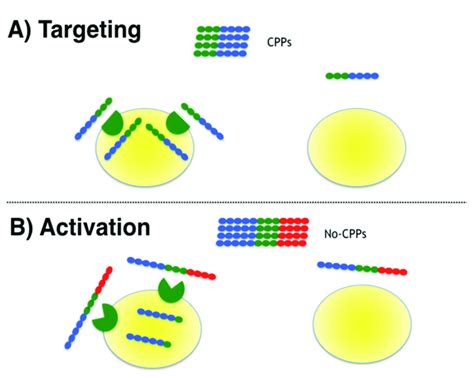 strategies to provide selectivity to cpps two strategies were tested