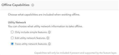 offline utility networks in arcgis maps sdks for native apps part 2