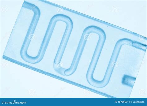Organ On A Chip OOC Microfluidic Device Chip That Simulates