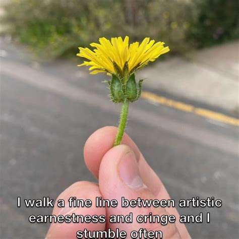 Harrison Lambert Goldsmiths Fine Art Degree Shows