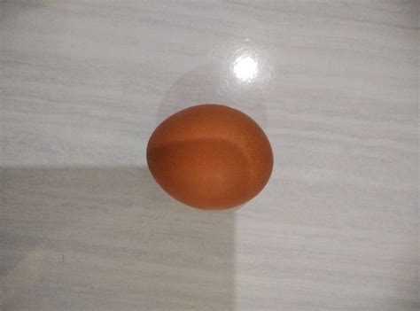 Telur Object Detection Dataset By Bangkit Project