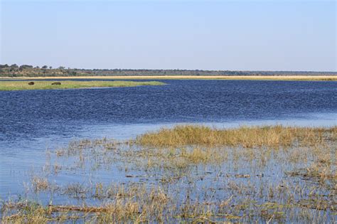 Chobe 국립 공원보츠와나제 3 부 0명에 대한 스톡 사진 및 기타 이미지 0명 강 국립공원 Istock