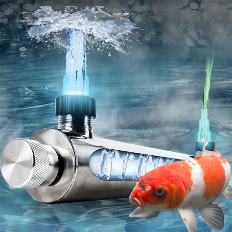 The Ultimate Guide To Building Your Own Aquarium Filter System In 2025