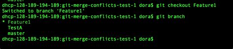 Testcase Notes 8 Merge Feature1 Branch To Master Branch Both
