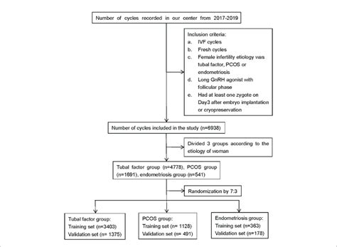 Flowchart Showing Data Selection Process Pcos Polycystic Ovary