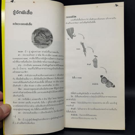 หนังสือ คู่มือผีเสื้อ เกรียงไกร สุวรรณภักดิ์ รหัส 1073804 ขายหนังสือ