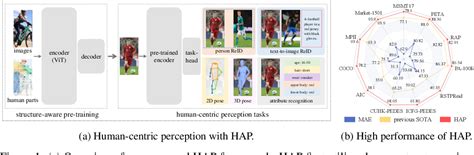 Hap Structure Aware Masked Image Modeling For Human Centric Perception