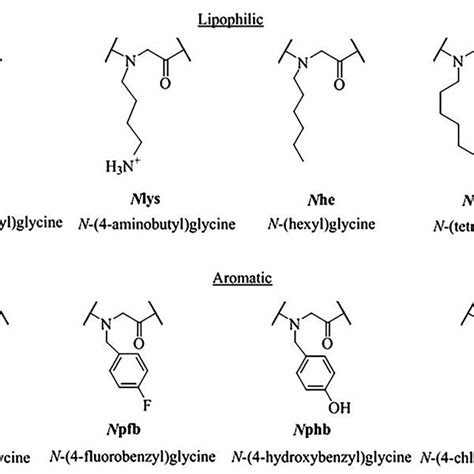 Peptoid Monomer Side Chain Structures Download Scientific Diagram
