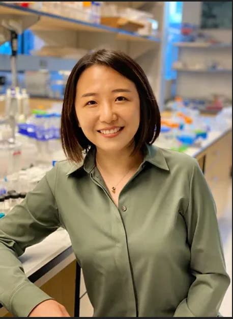 Mems Seminar Fan Cui Phd Happenings At Washu