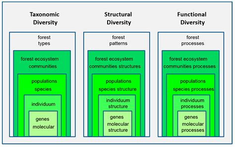 Remote Sensing Free Full Text The Relative Roles Of Descubra As
