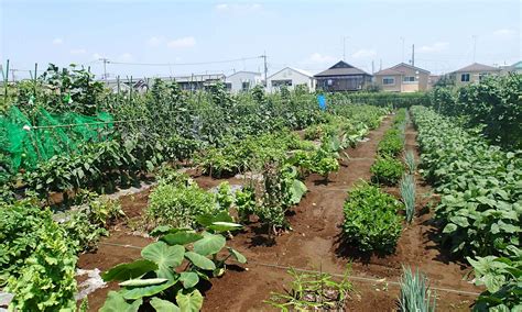 2019年9月 練馬区農業体験農園園主会