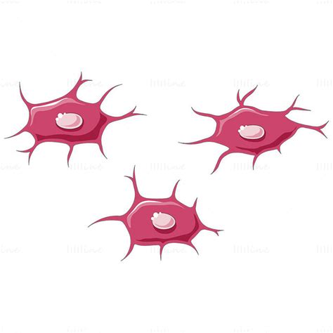 Osteocytes Vector Scientific Illustration