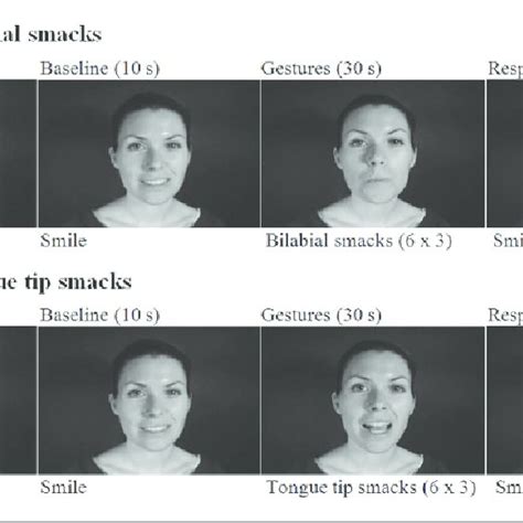 Schematic Representation Of The Experimental Paradigm Download