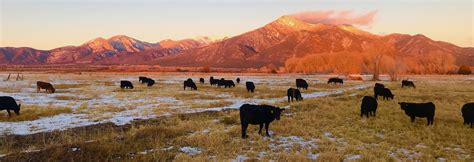 Nm Healthy Soil Working Group Supporting Farmers And Ranchers In Soil