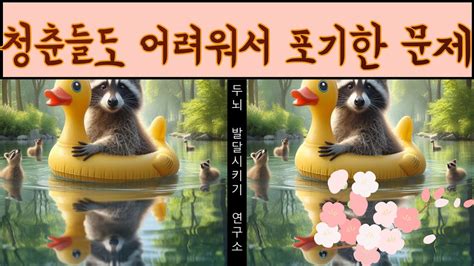 치매예방 다른그림찾기 라쿤이 오리 튜브를 타고있는 모습 등 5문제 2개만 맞춰도 정말 잘 하시는 거에요 숨은그림찾기 틀린그림찾기 Youtube