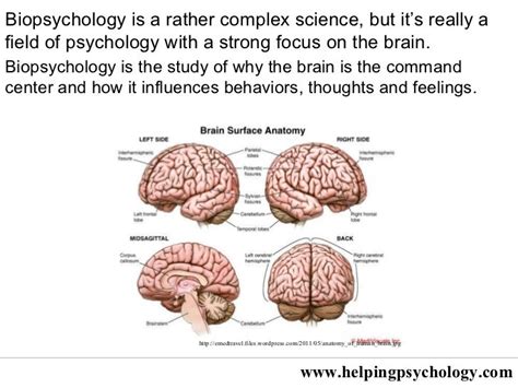 An Introduction To Biopsychology