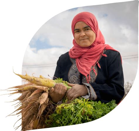 Icarda And Cgiar Transforming Global Food Security