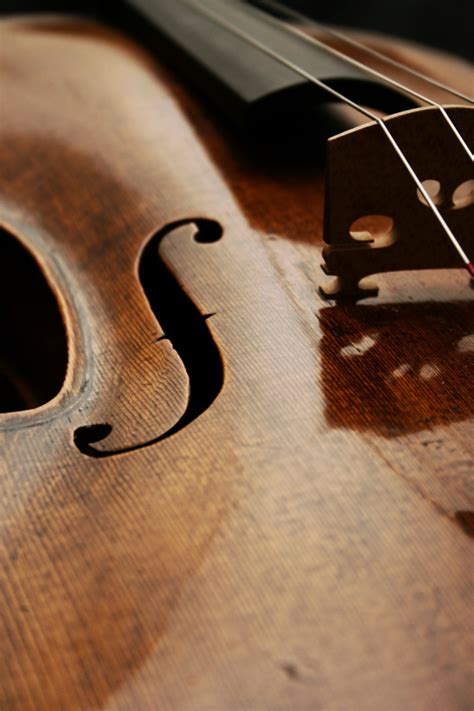 Information And Value Of Old Fiddles Violins Thriftyfun