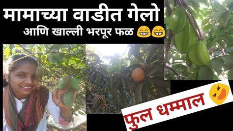 मामाच्या वाडीत गेलो आणि खाल्ल भरपूर फळ 🤣😁🥰 Youtube